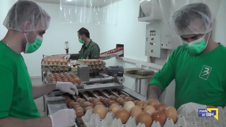 Prvi u BiH: Kompanija Bingo za proizvedena jaja dobila certifikat i ...