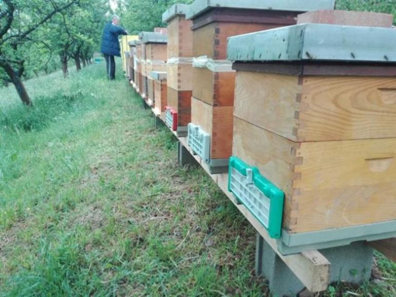 Grad Tuzla: Počelo ažuriranje podataka u Registru pčelara i pčelinjaka ...